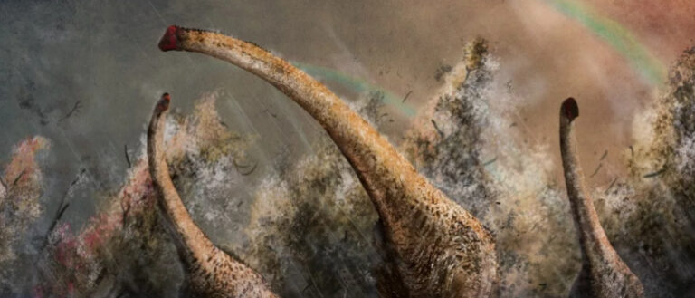 Эвкамерот растительноядные динозавры группы титанозавроформы