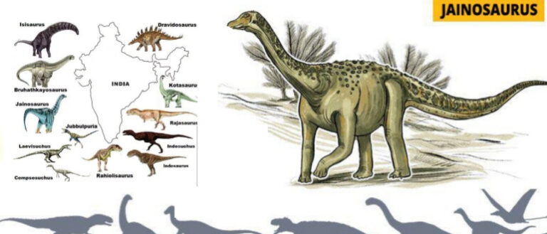Джайнозавр Jainosaurus динозавры растительноядных зауроподов
