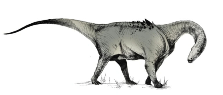 Адамантизавр Adamantisaurus динозавры из группы титанозавров